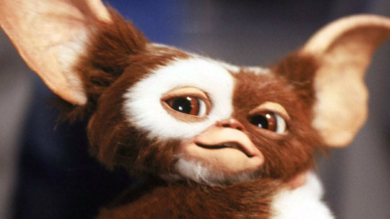 Don’t feed them after midnight: 'Gremlins' comes back to select - KPTV ...